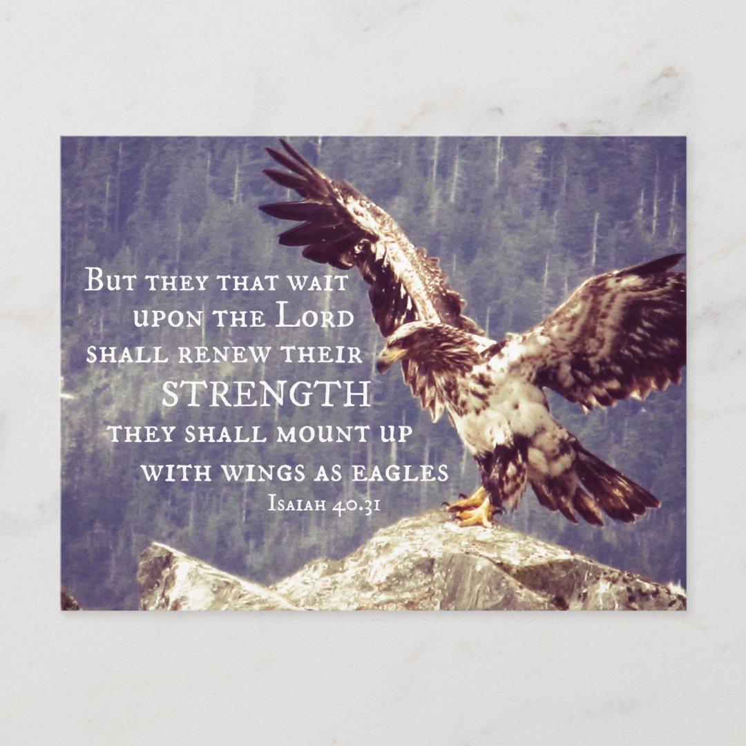 Bible Verse: Renew Strength, Wings as Eagles Postcard | Zazzle