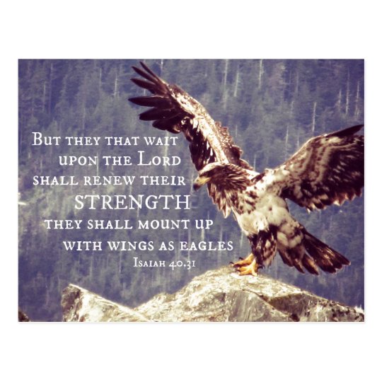 Bible Verse: Renew Strength, Wings as Eagles Postcard | Zazzle.com
