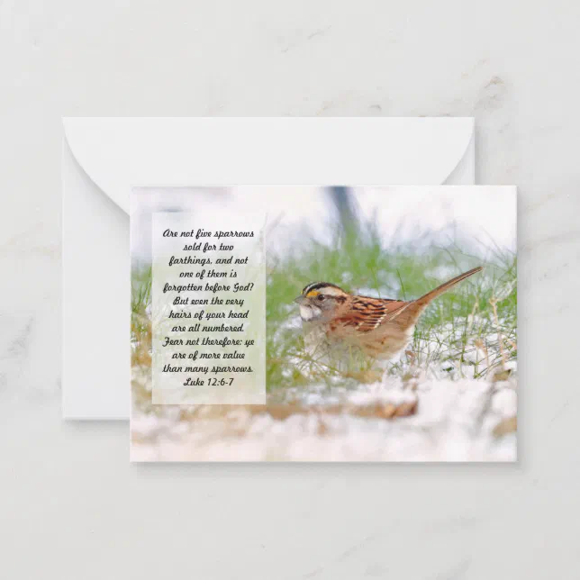 Bible Verse Scripture Note Card Sparrow KJV | Zazzle