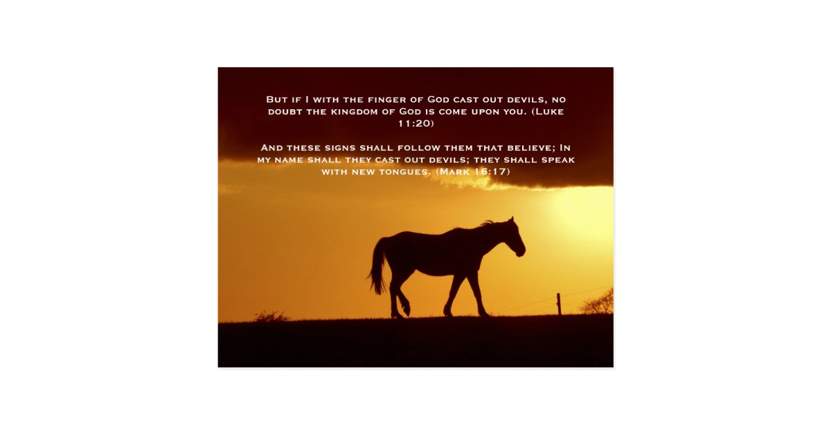 Bible verses, a horse in the sunset postcard | Zazzle.com