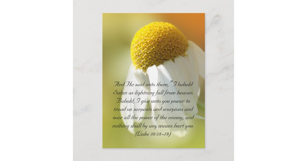 Bible verses, Daisy Postcard | Zazzle