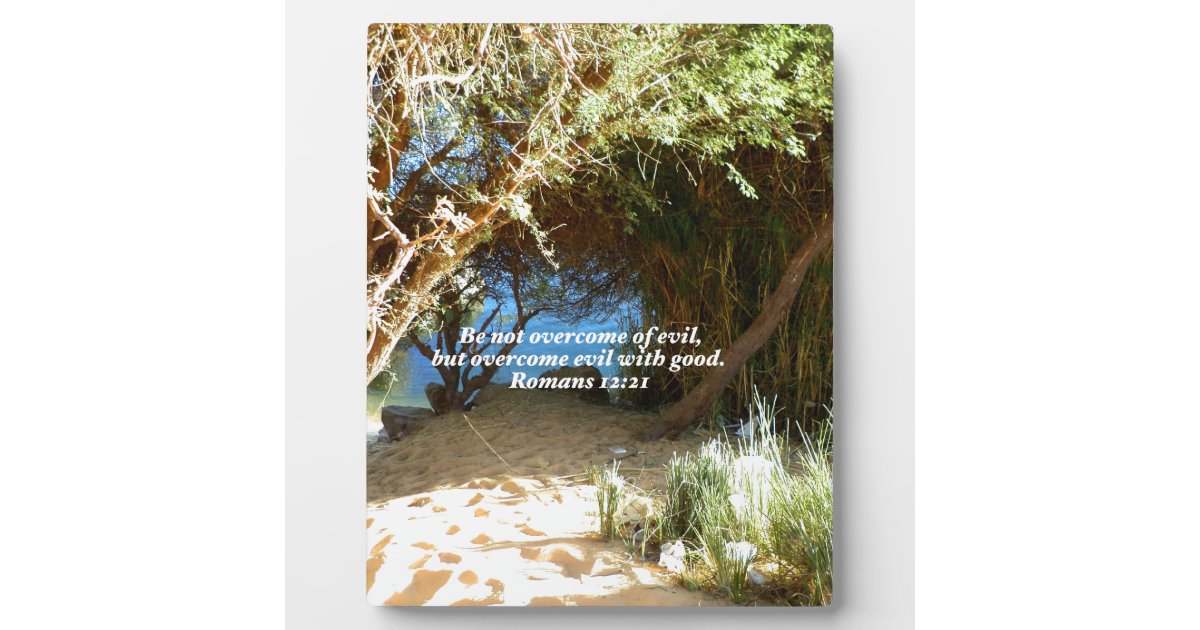 Bible Verses Love Quote Saying Romans 12:21 Plaque | Zazzle