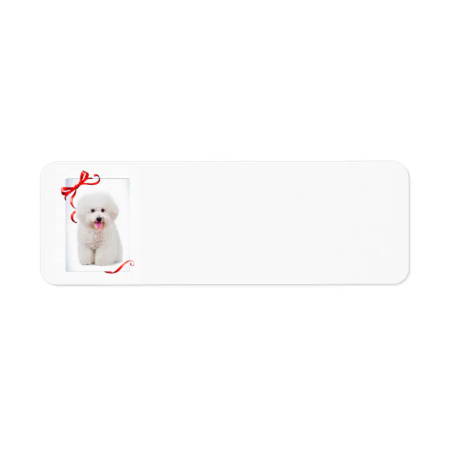 Bichon Christmas Return Address Labels | Zazzle
