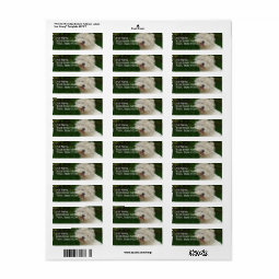 Bichon Frise Return Address Label | Zazzle