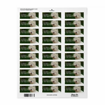 Bichon Frise Return Address Label | Zazzle