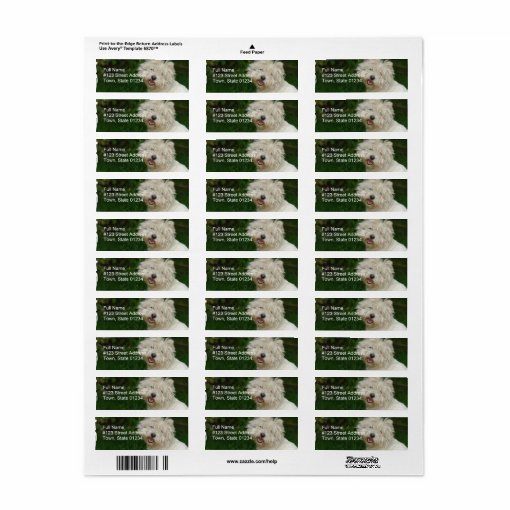 Bichon Frise Return Address Label | Zazzle