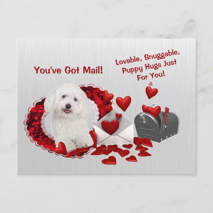 Bichon Frise You've Got Mail Puppy Hugs Valentine Holiday Postcard | Zazzle