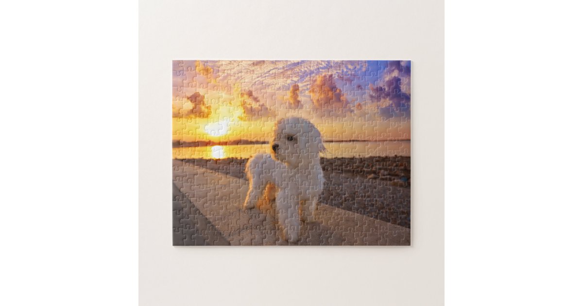 Bichon on the Beach Your Pet Photo Personalized Jigsaw Puzzle | Zazzle