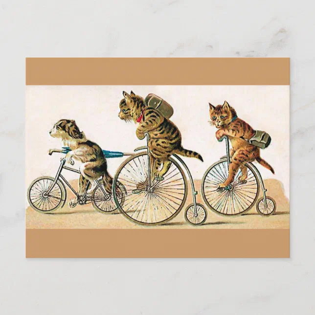 Bicycle Ride Postcard | Zazzle