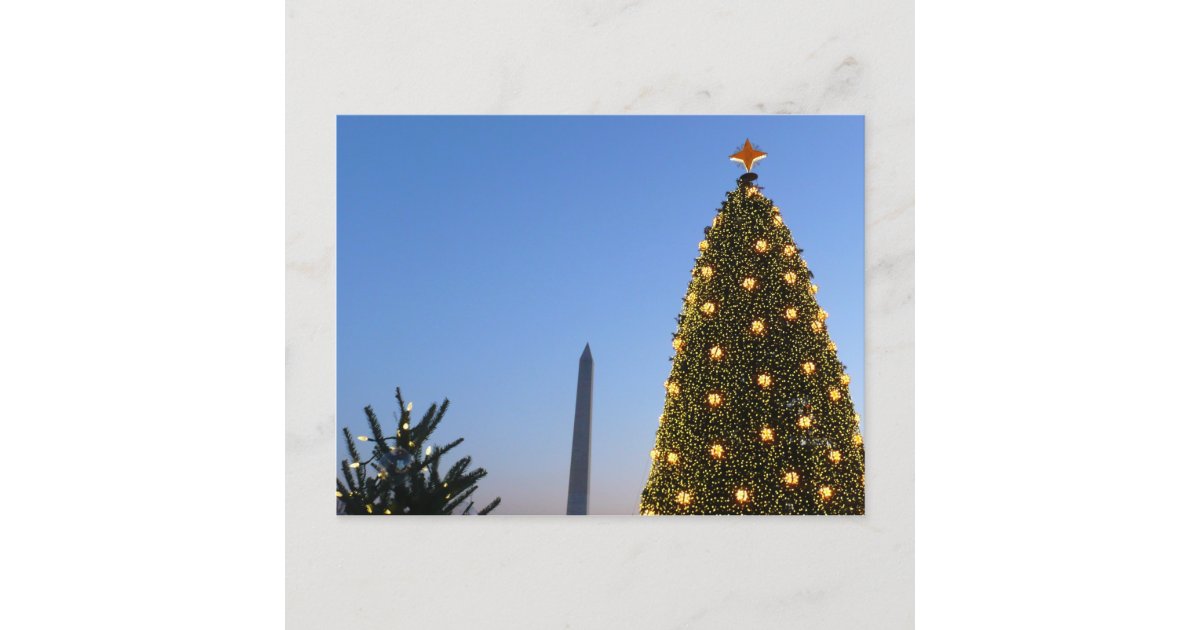 Big and Little Christmas Trees II Holiday in DC | Zazzle