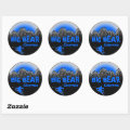 Big Bear Mountain California blue ski stickers | Zazzle