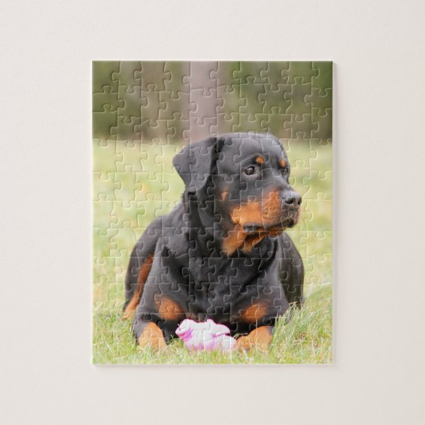 Personalized Rottweiler Gifts on Zazzle
