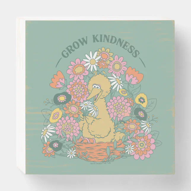 Big Bird | Grow Kindness Floral Graphic Wooden Box Sign | Zazzle