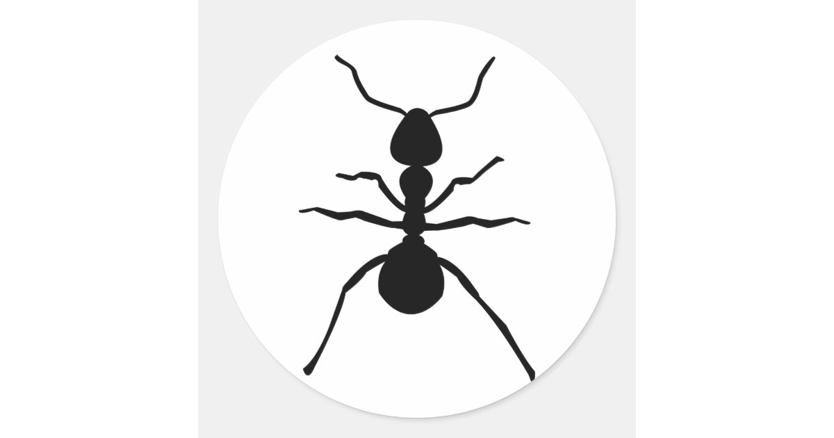 big black ant icon classic round sticker | Zazzle