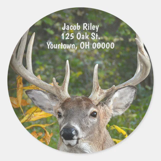 big buck deer in woods classic round sticker | Zazzle