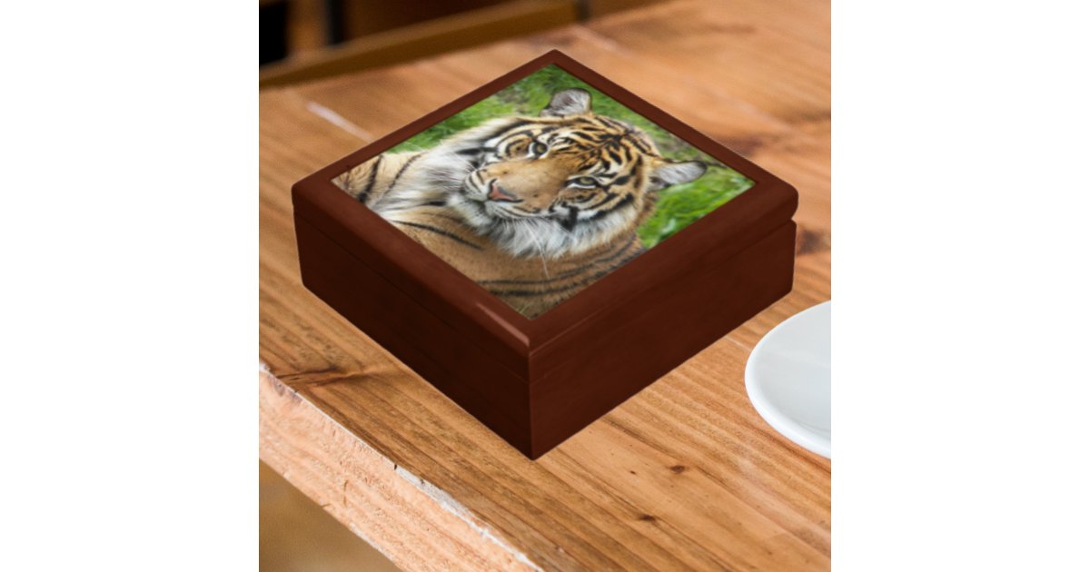 Big Cat Sumatran Tiger Photo Gift Box | Zazzle