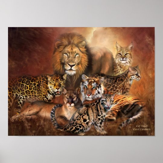Big Cats Art Poster/Print Poster | Zazzle