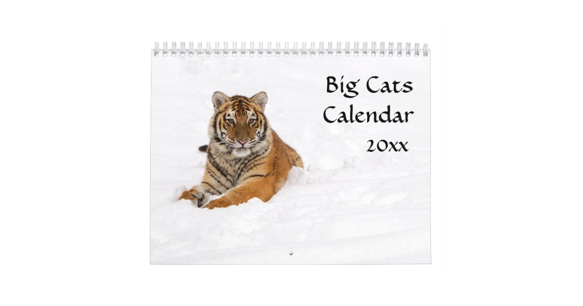 Big Cats Calendar | Zazzle
