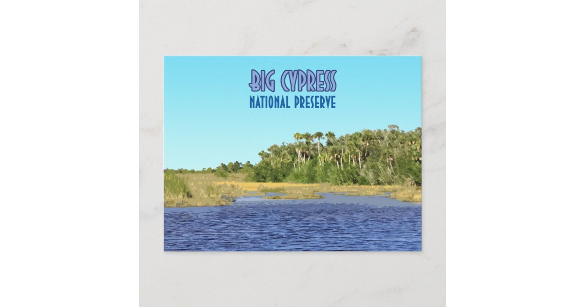 Big Cypress National Preserve Florida Postcard | Zazzle