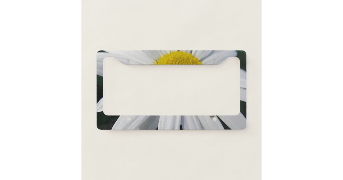 Big Daisy License Plate Frame | Zazzle