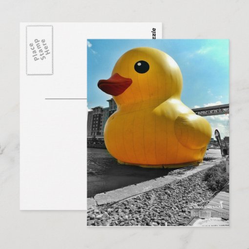 Big Famous Rubber Duck In Erie PA Postcard | Zazzle
