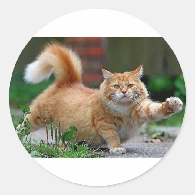 Big Fat Orange Cat Classic Round Sticker | Zazzle