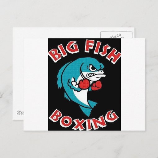 BIG FISH BOXING,BOXING,FISH,FIGHTING FISH,BOXERS, POSTCARD | Zazzle