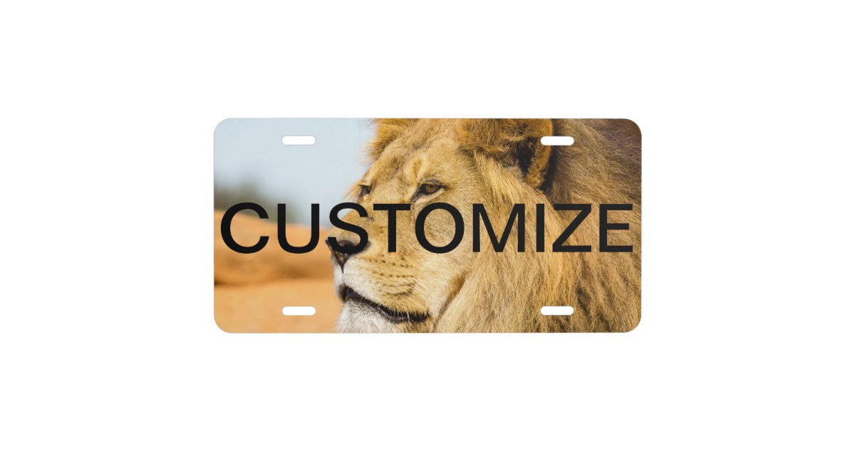 Big lion looking far away license plate | Zazzle