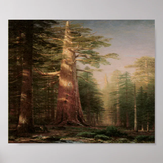 Big Pine Tree Vintage Art Print Poster | Zazzle