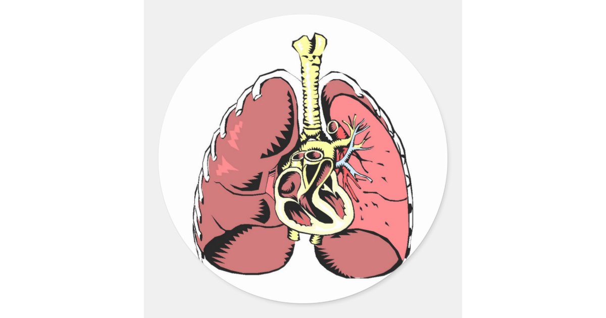 Big Pink Lungs Classic Round Sticker | Zazzle.com