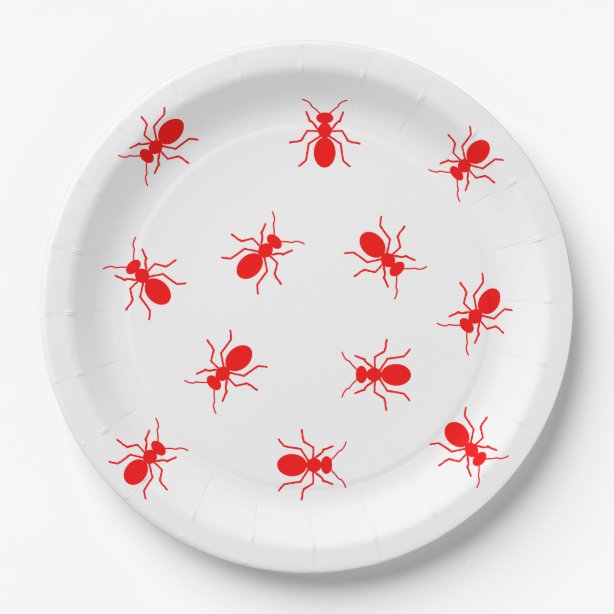 Ant Plates | Zazzle