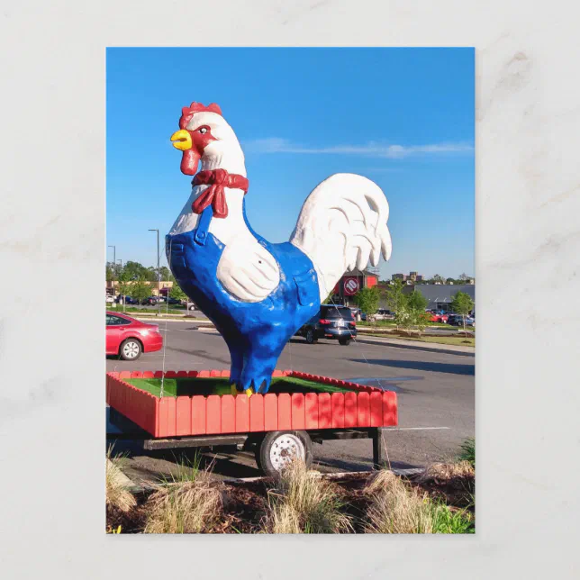 Big Rooster Postcard | Zazzle