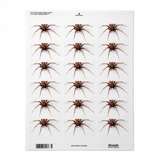 Big Scary Spider Label | Zazzle