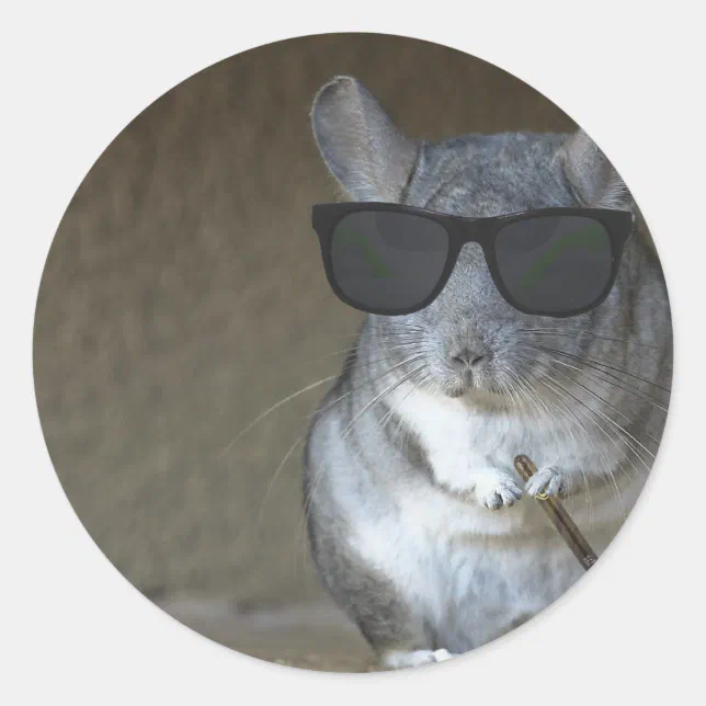 Big Shot Chinchilla Classic Round Sticker | Zazzle