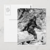 Bigfoot Postcard | Zazzle
