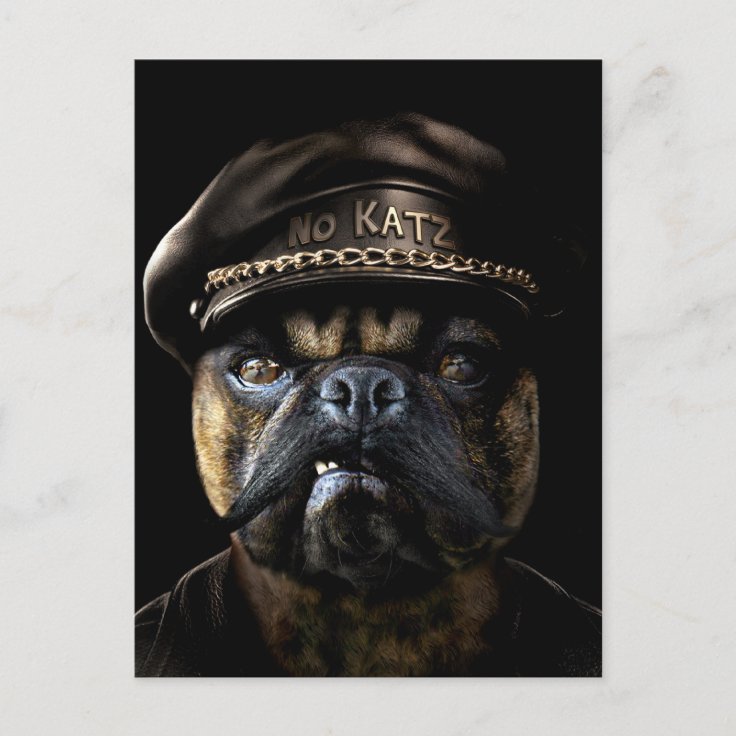 Biker Pug Postcard | Zazzle