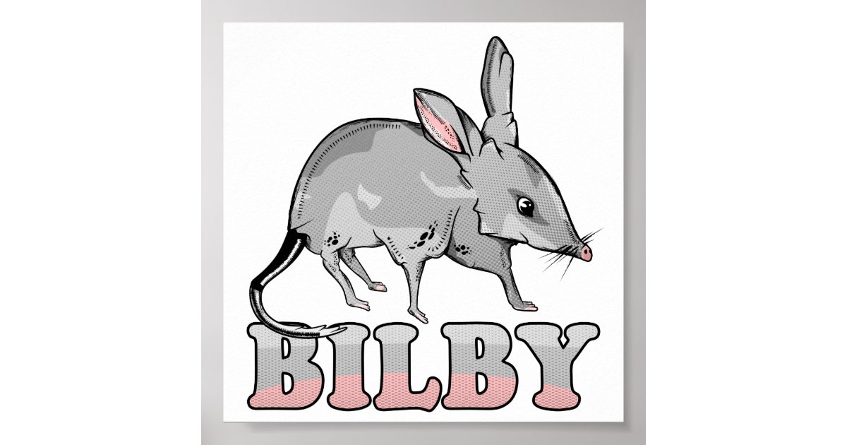 Bilby Australian Marsupial Poster | Zazzle