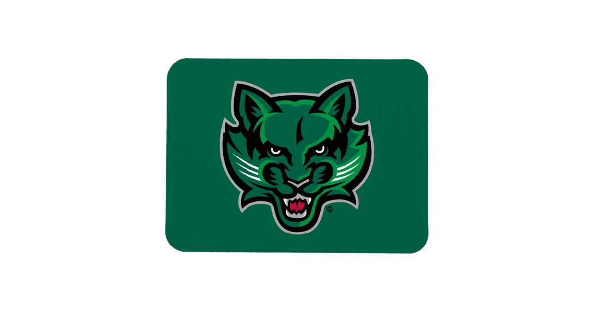 Binghamton Bearcats Logo Magnet | Zazzle