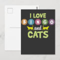 Bingo And Cats Funny Kitten Animal Pet Lovers Postcard | Zazzle