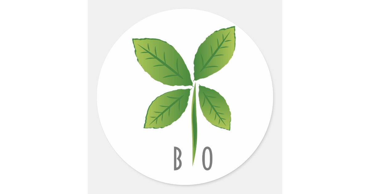 BIO CLASSIC ROUND STICKER | Zazzle