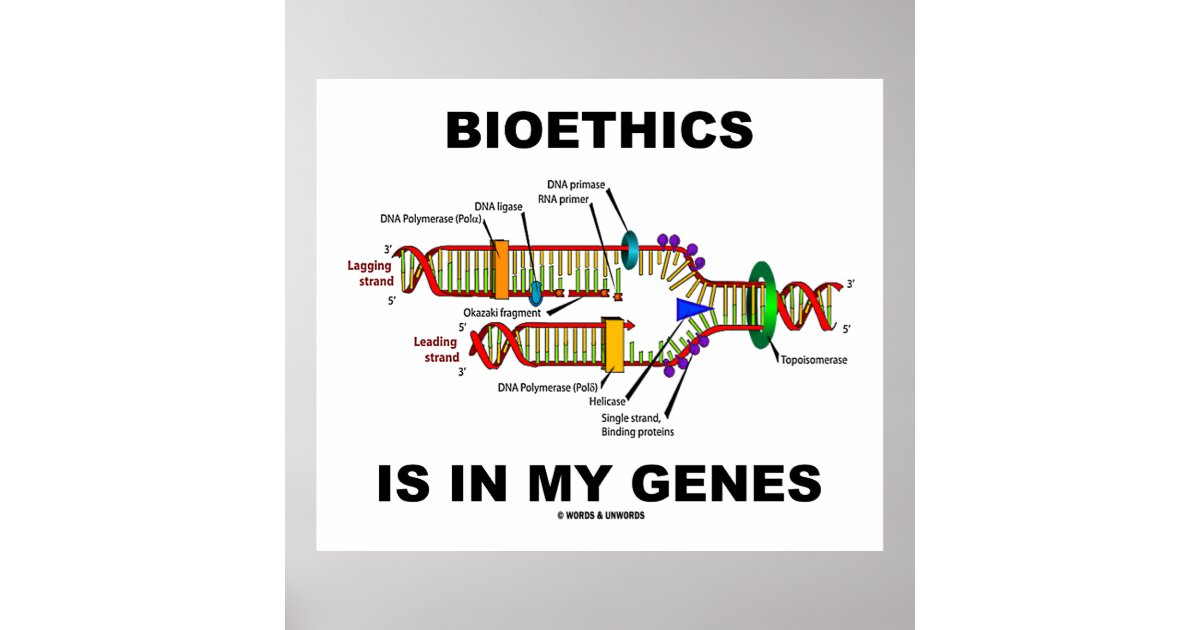 Bioethics Is In My Genes (DNA Replication) Poster | Zazzle