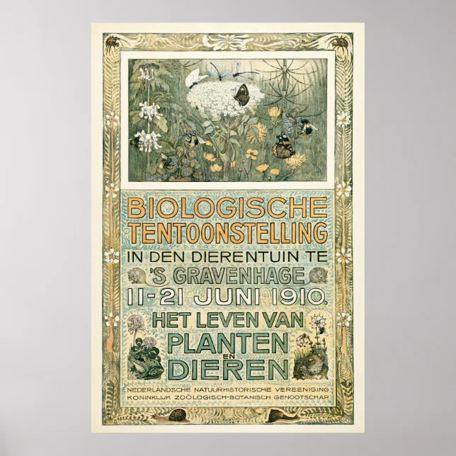 Biological Exhibition Poster, Dutch, Van Hoytema, Poster | Zazzle