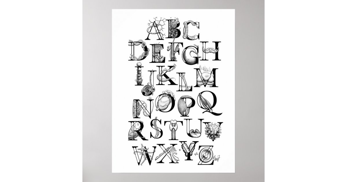 Biology Alphabet Poster (18x24) | Zazzle