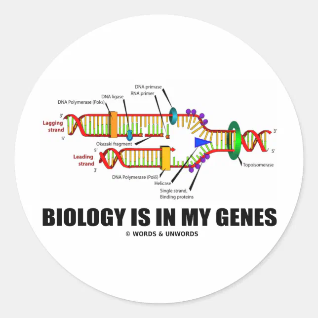 Biology Is In My Genes (DNA Replication) Classic Round Sticker | Zazzle