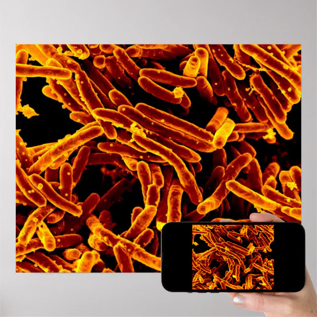 biology microbiology abstract art poster canvas | Zazzle