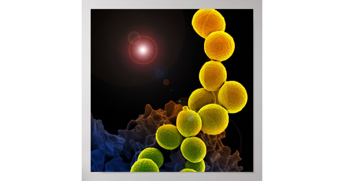 biology microbiology abstract for poster or canvas | Zazzle