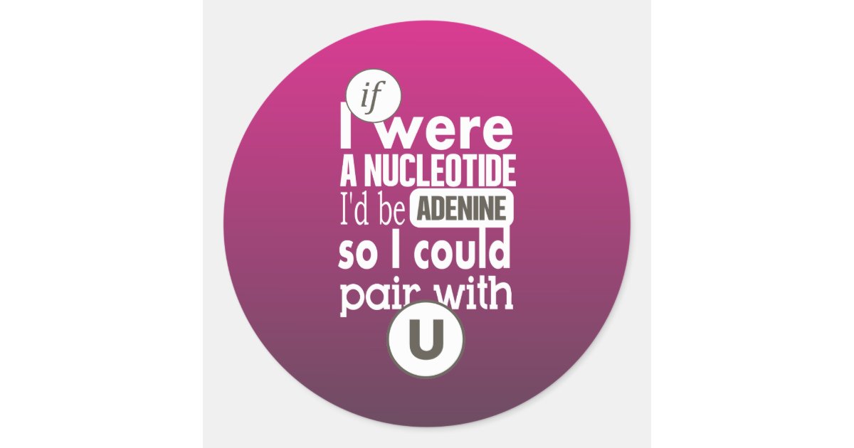 Biology nucleotide adenine pair with uracil U Classic Round Sticker ...