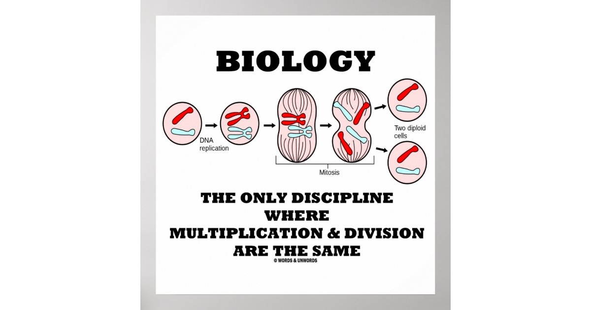 Biology Only Discipline Multiplication Division Poster | Zazzle