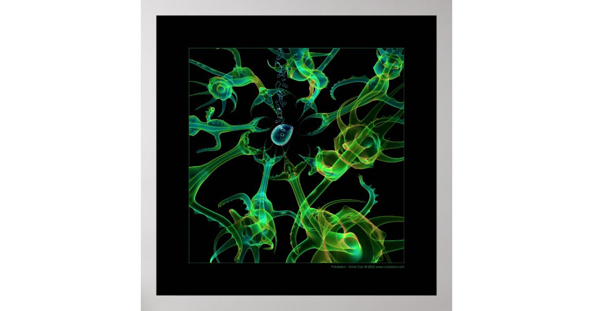 Biology: predation poster | Zazzle