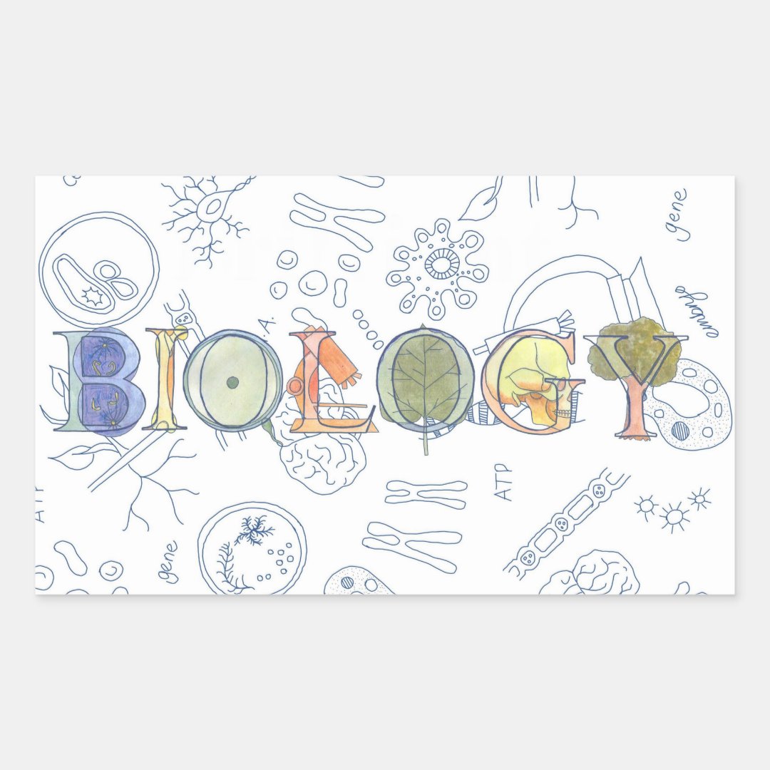 Biology sticker | Zazzle